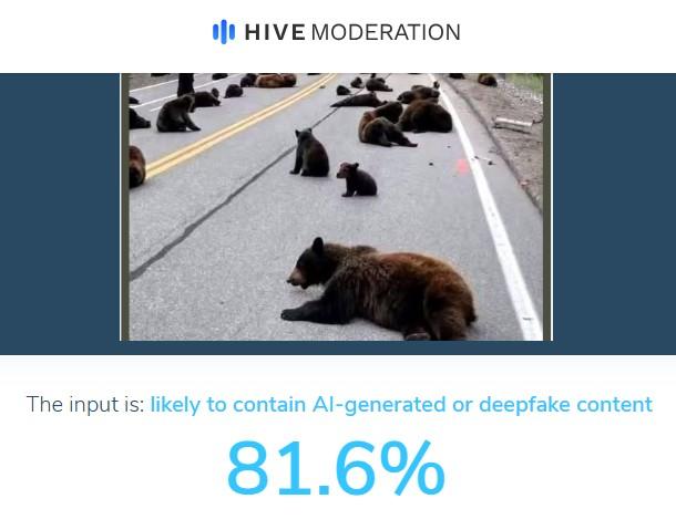 Fact Check: FAKE Image Is Not Proof Of A March 2025 Bear Blockade Of Yellowstone Park Roads ...